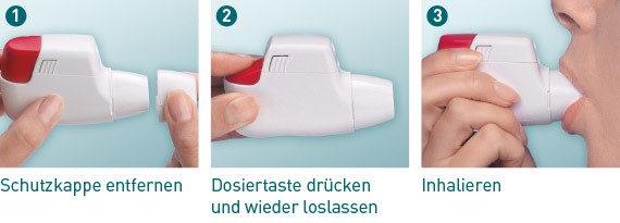 Viatris | Novolizer®, Formoterol, Budisonid, Salbutamol|Dosierung und ...